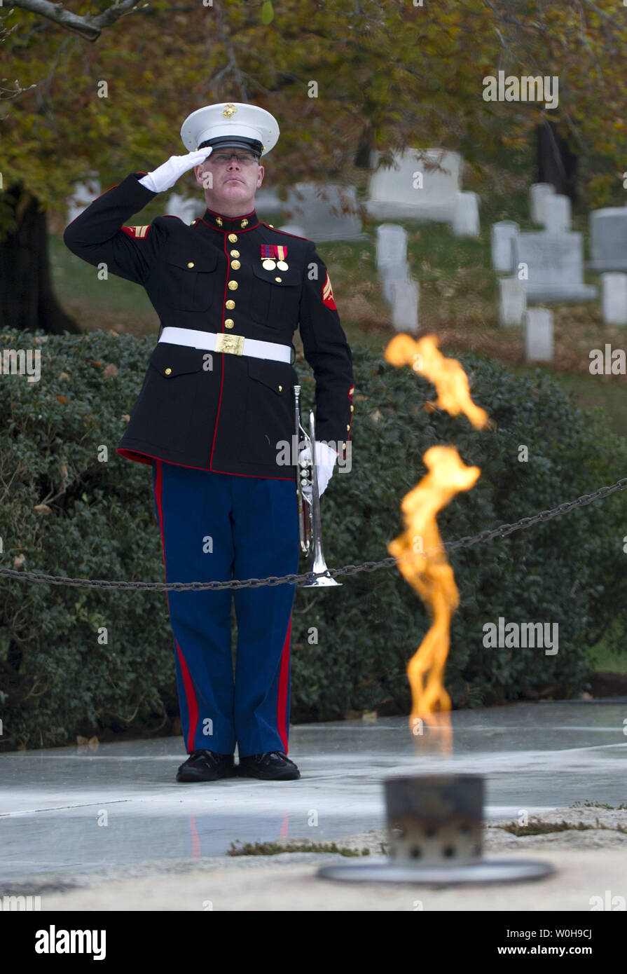 U.S. Marine Corporal Mark Paradis, with Taps For Veterans, salutes ...