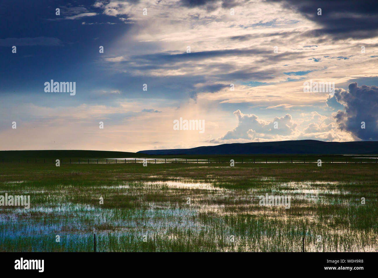 The beautiful Hulunbuir prairie, the Mongolian prairie Stock Photo - Alamy