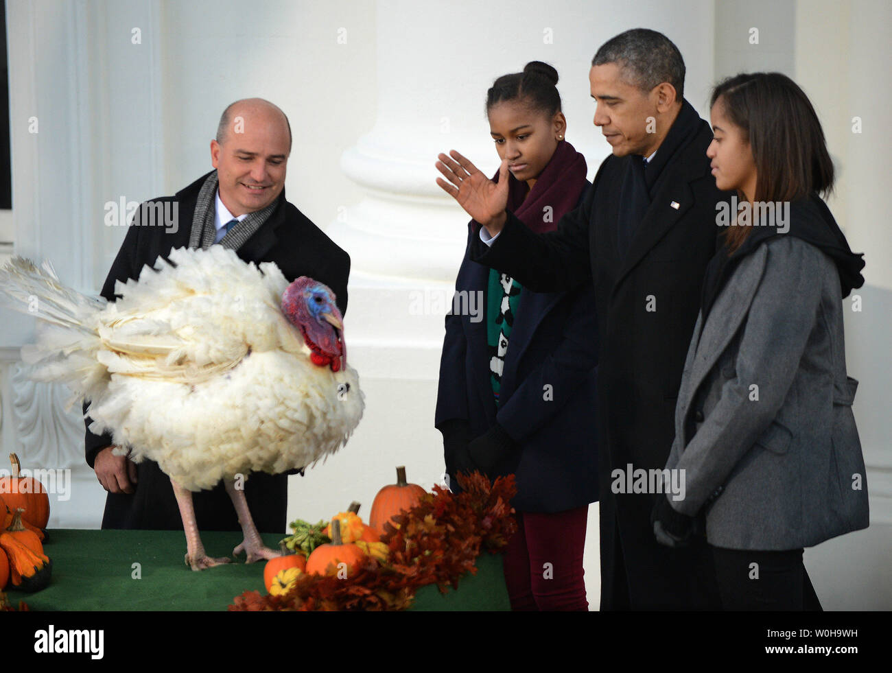 Burkel hi-res stock photography and images - Alamy