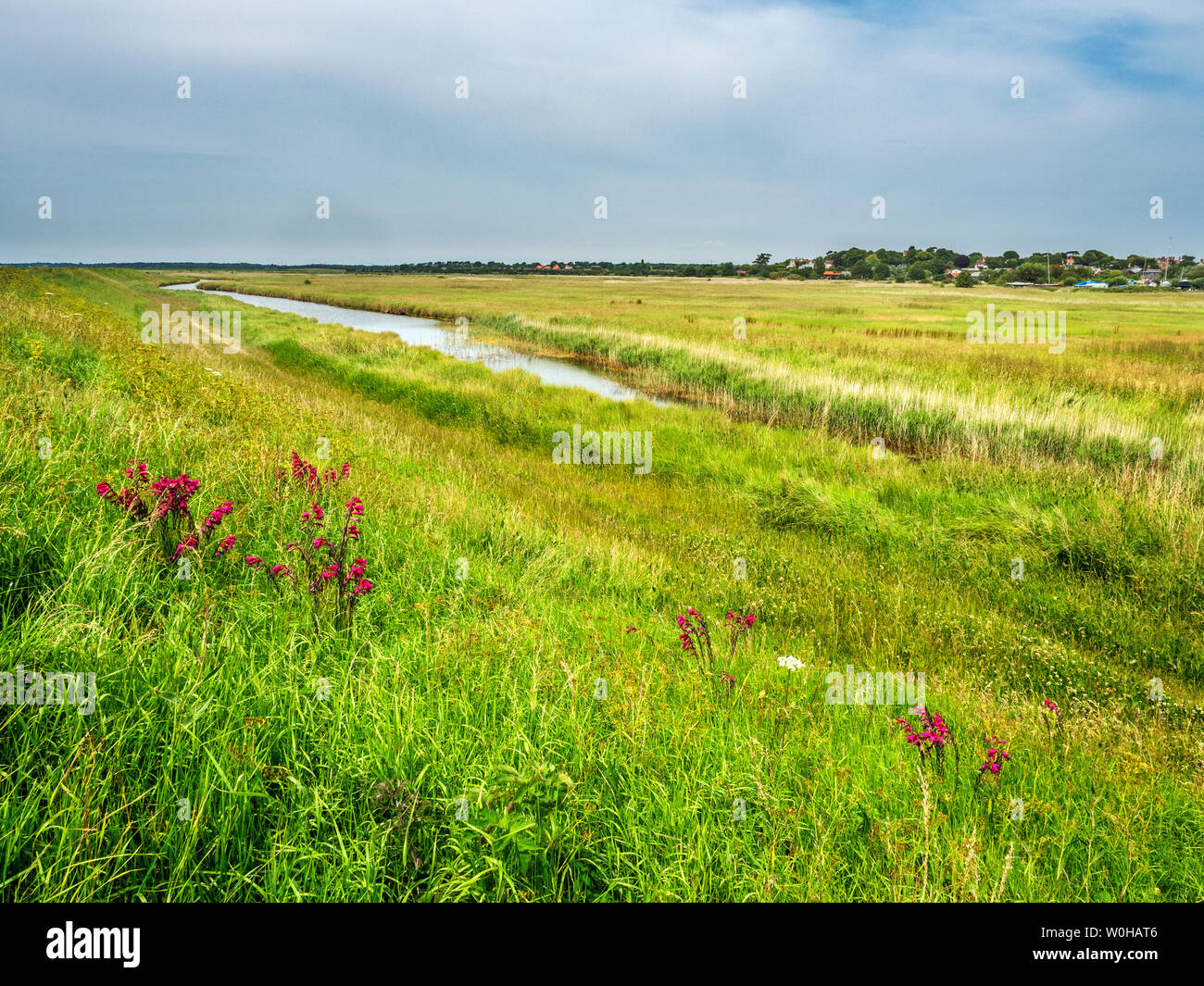 Slaughden marsh suffolk hi-res stock photography and images - Alamy
