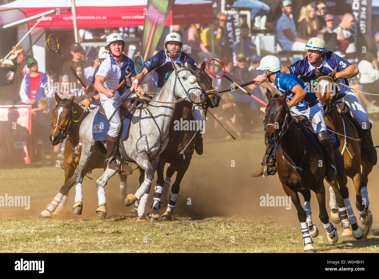 Polocrosse hi-res stock photography and images - Alamy