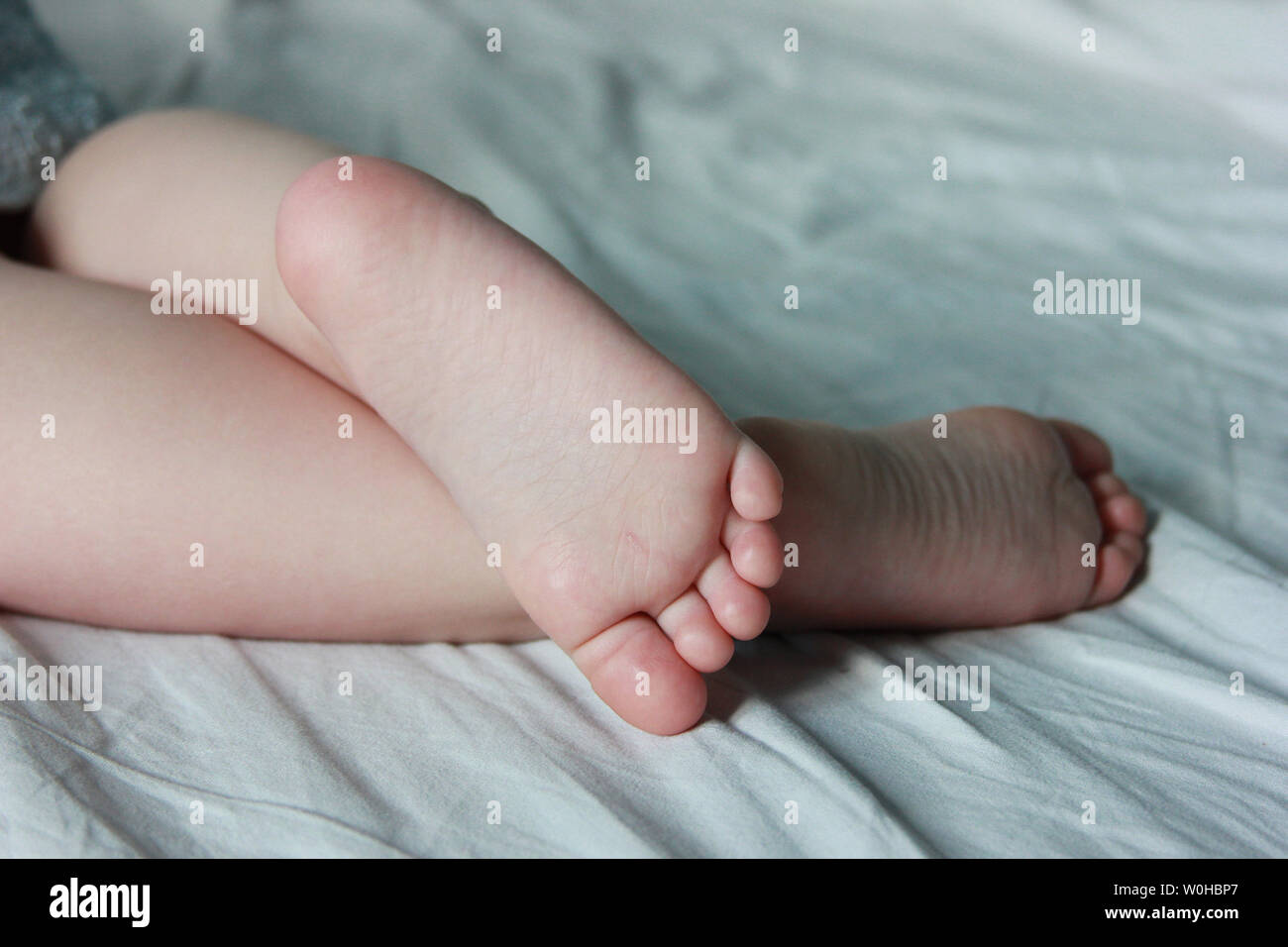 The baby`s feet. The toddler is sleeping on the bed. A thorn on the ...