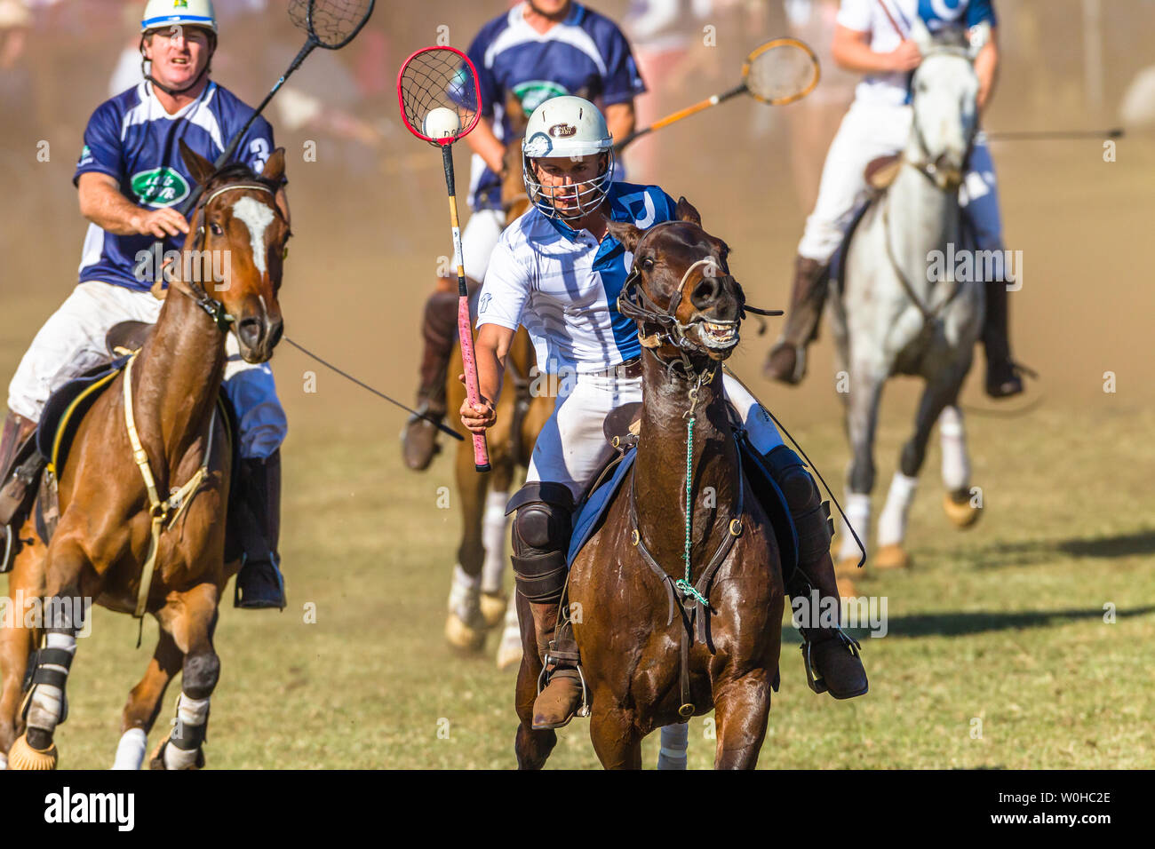 Polocrosse hi-res stock photography and images - Alamy