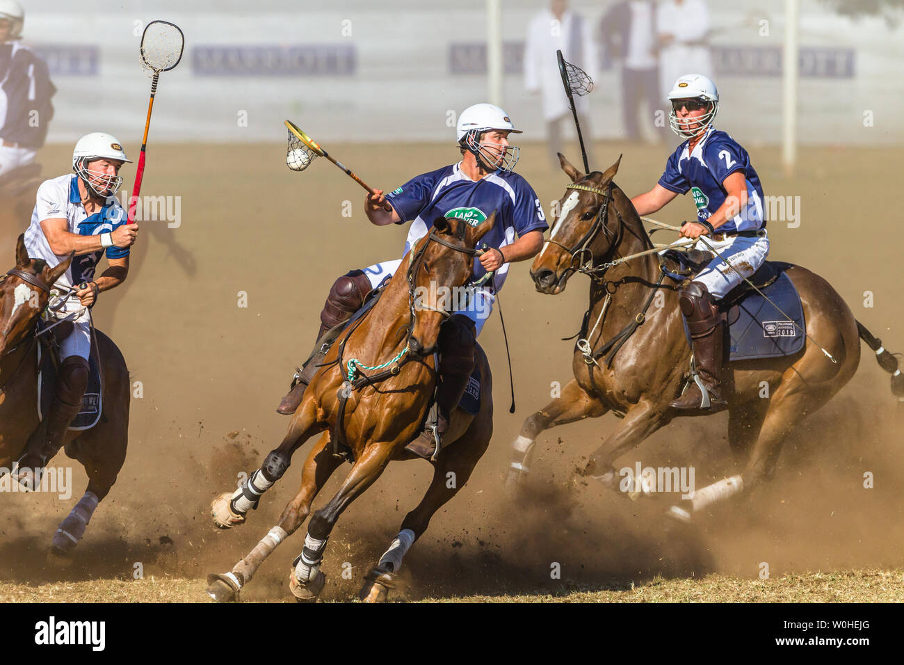 Polocrosse hi-res stock photography and images - Alamy