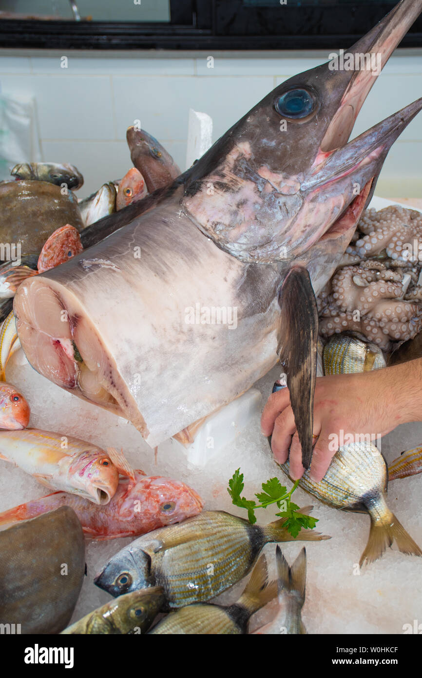 Various fresh seafood and fish displayed on the table for sale in a ...