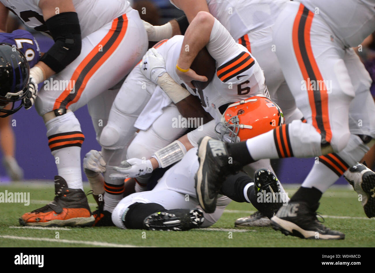 Connor Shaw Wallpaper