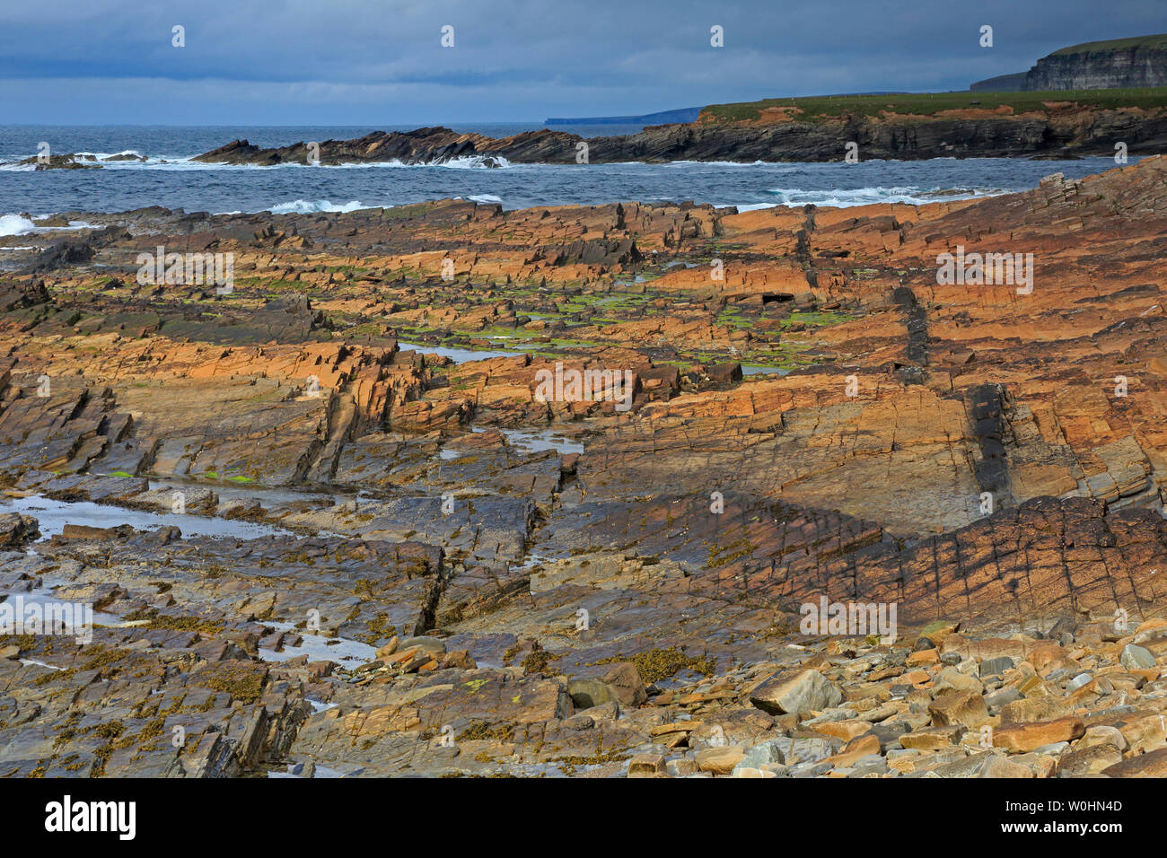 View of Brough Sound showing the Old Red Sandstone Mainland Orkney ...