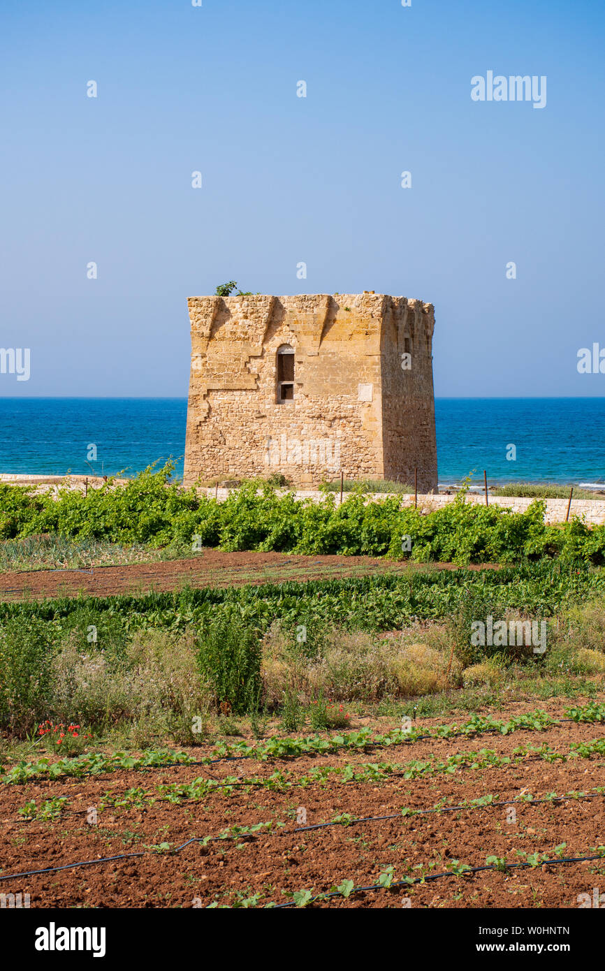 Baroque watchtower, beautiful old tower in San Vito, Polignano a Mare ...