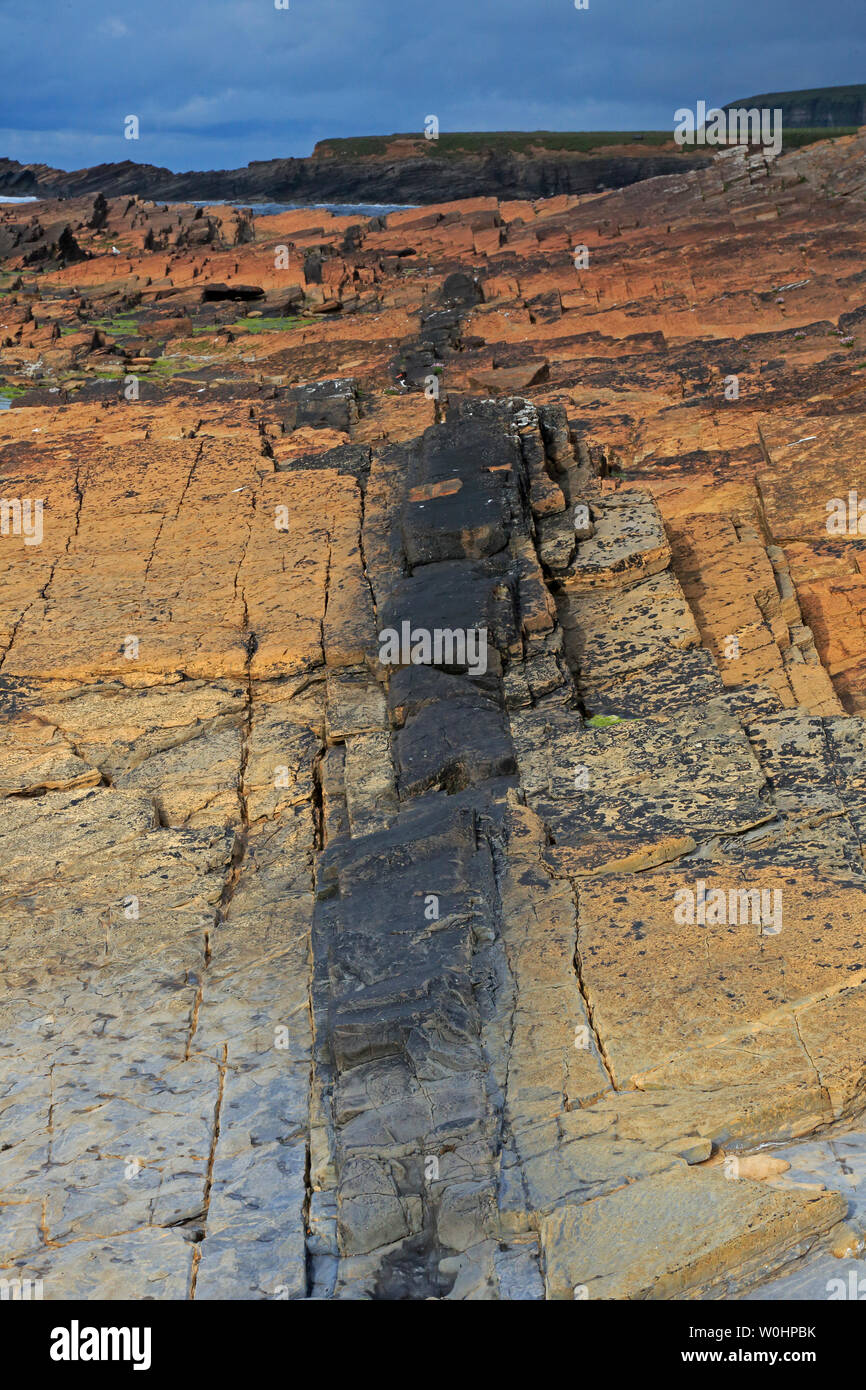 View of Brough Sound showing the Old Red Sandstone Mainland Orkney ...
