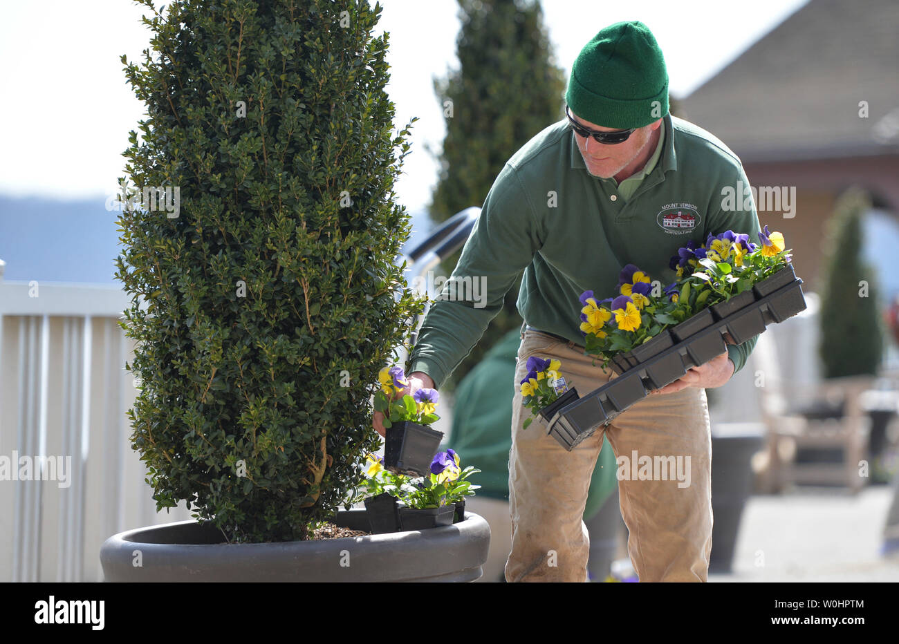 A gardner plants flowers on the wharf at President George Washington's ...