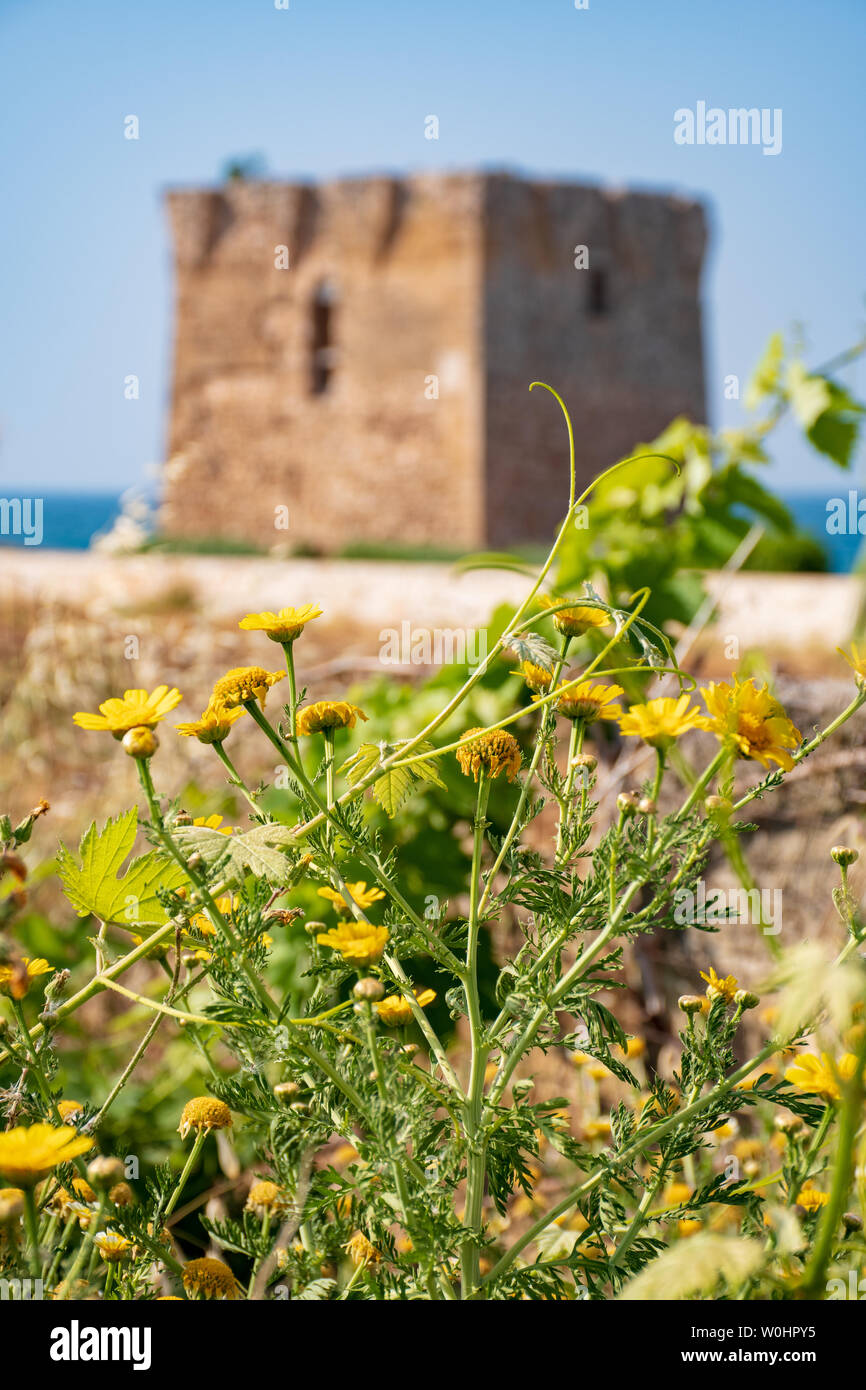 Baroque watchtower, beautiful old tower in San Vito, Polignano a Mare ...