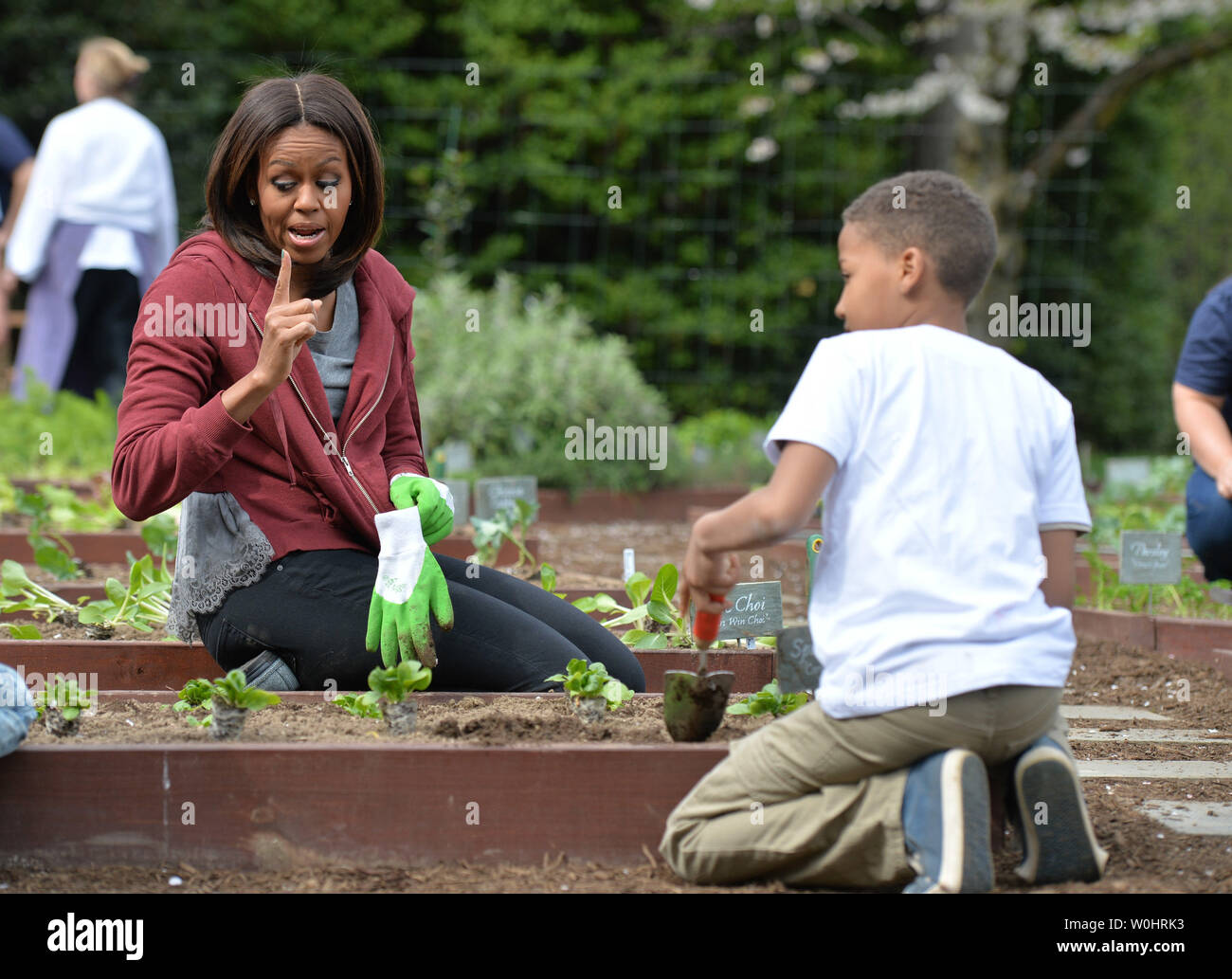 First Lady Michelle Obama participates in the annual vegetable garden ...
