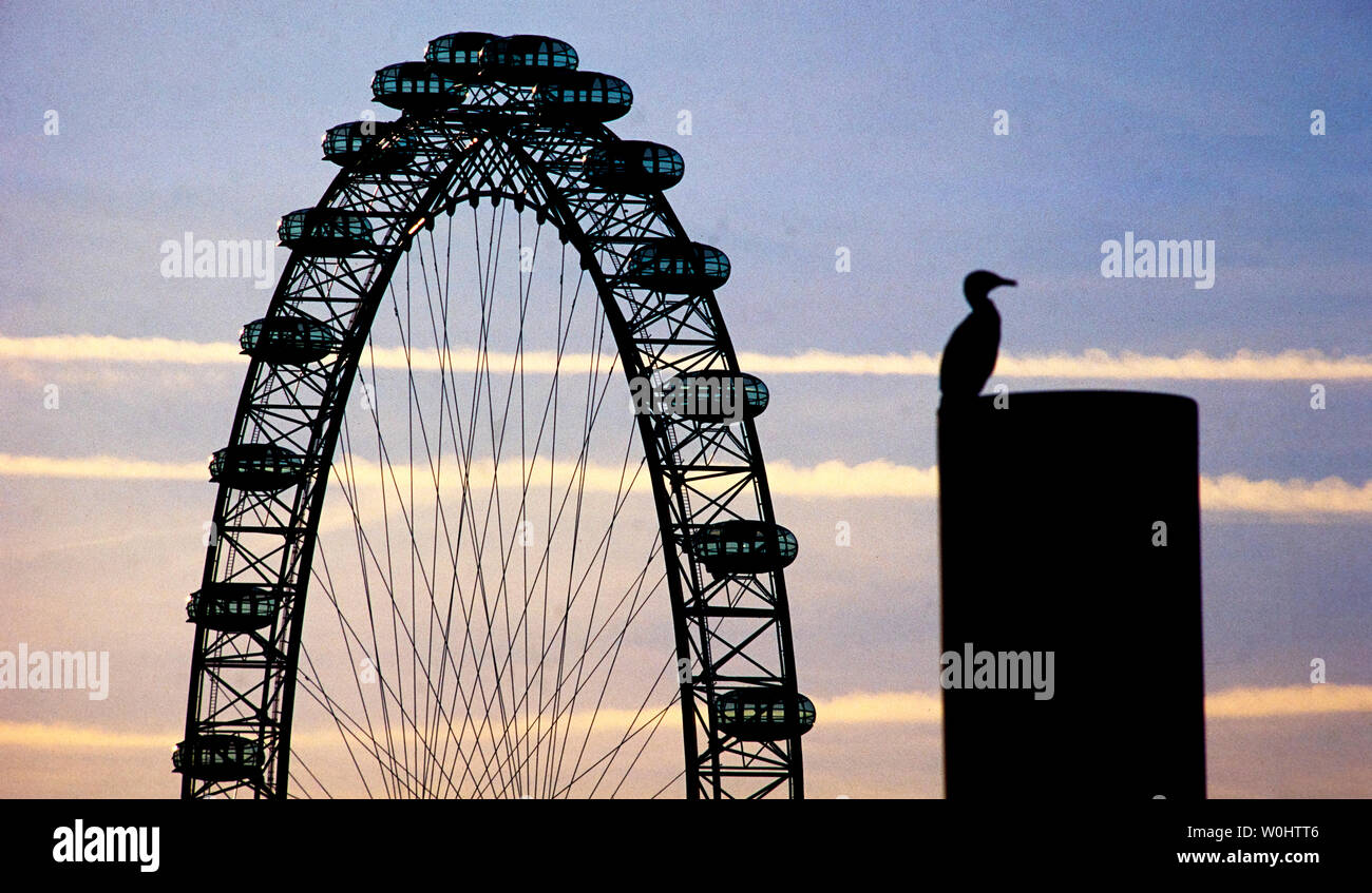 London Eye Ferris Wheel, London England UK. 2001 Stock Photo - Alamy