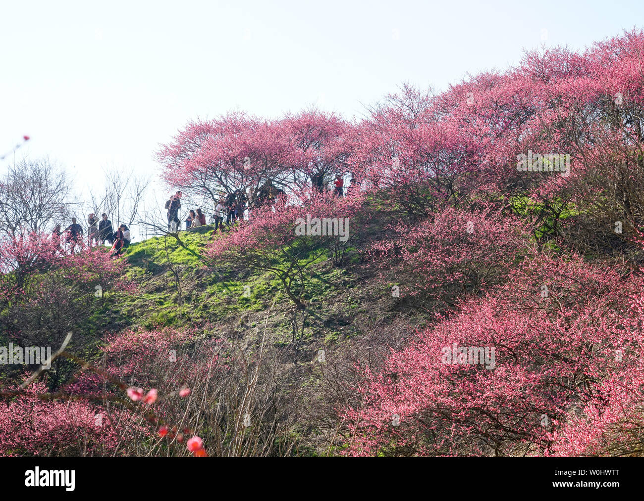 Meishan village hi-res stock photography and images - Alamy