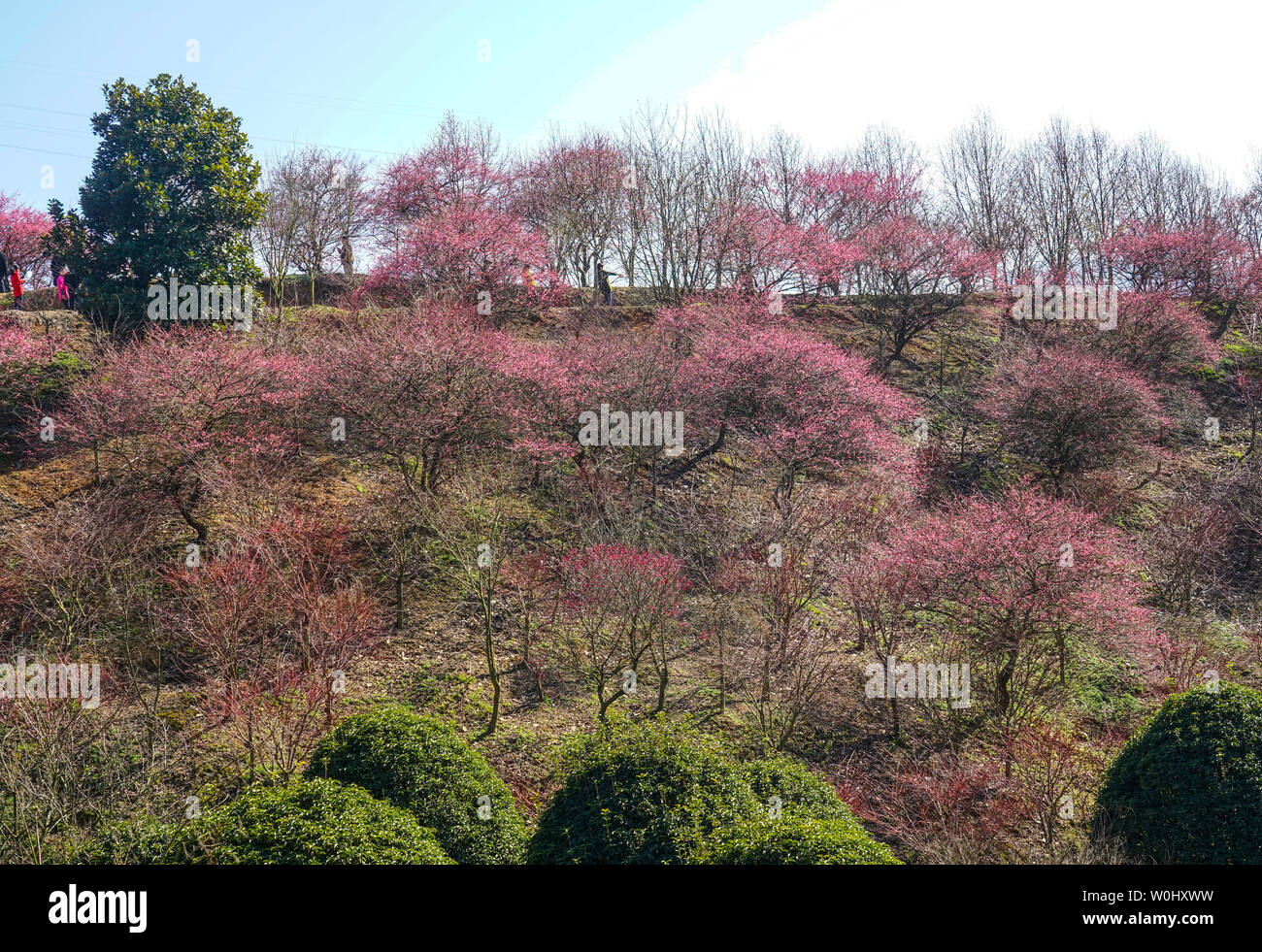 Meishan village hi-res stock photography and images - Alamy