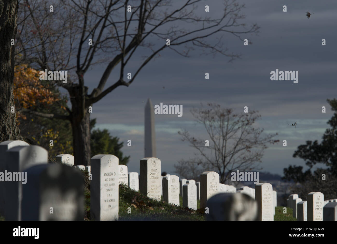 Headstones are pictured on Veterans Day at Arlington National Cemetery ...