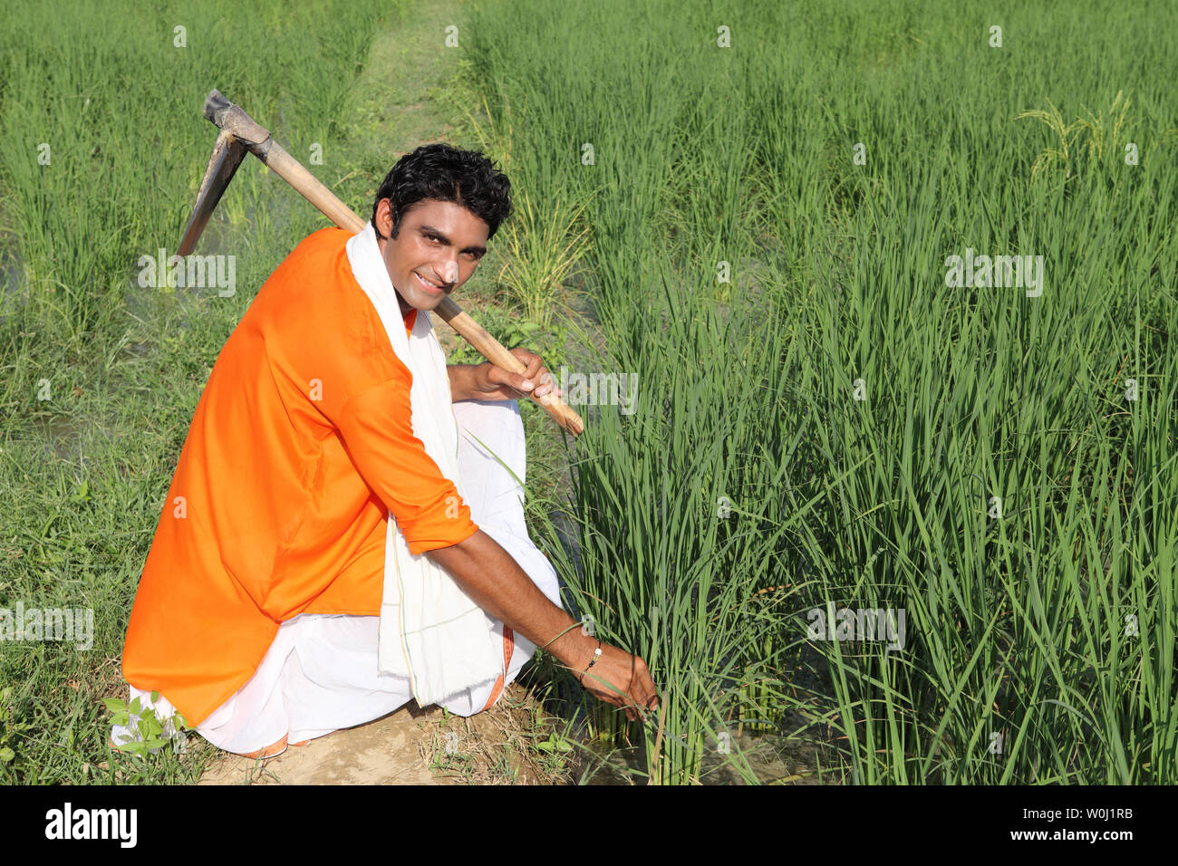 Indian farmer working in a field Stock Photo - Alamy