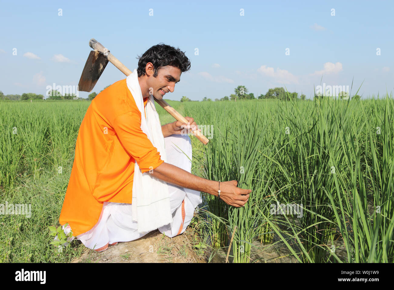 Man carrying rice paddy field hi-res stock photography and images - Alamy