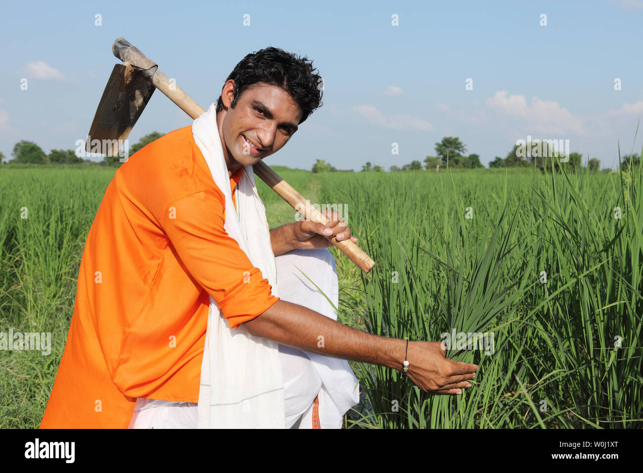 Indian farmer rice plantation hi-res stock photography and images - Alamy