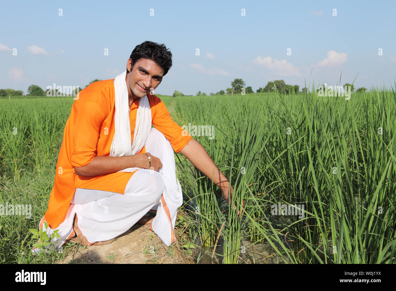 Indian farmer rice plantation hi-res stock photography and images - Alamy