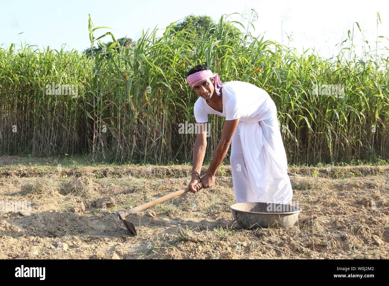 Indian farmer working in a field Stock Photo - Alamy