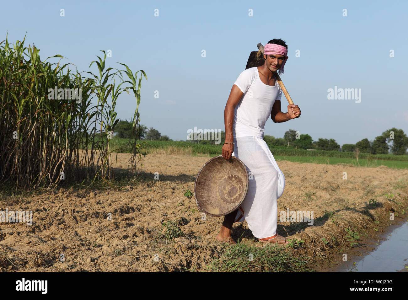 Indian farmer working in a field Stock Photo - Alamy