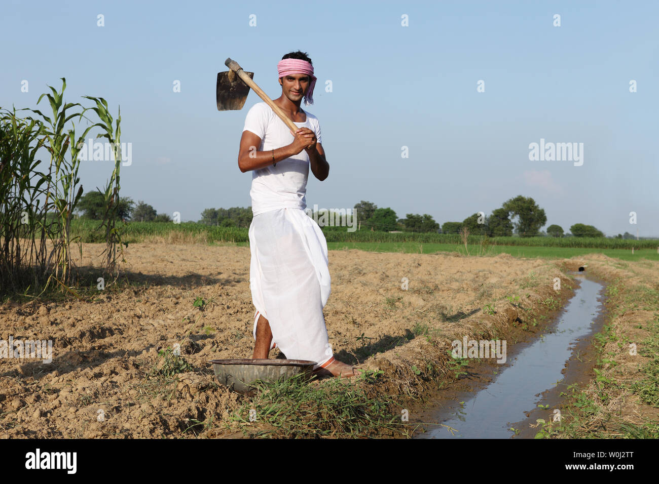 Indian farmer working in a field Stock Photo - Alamy