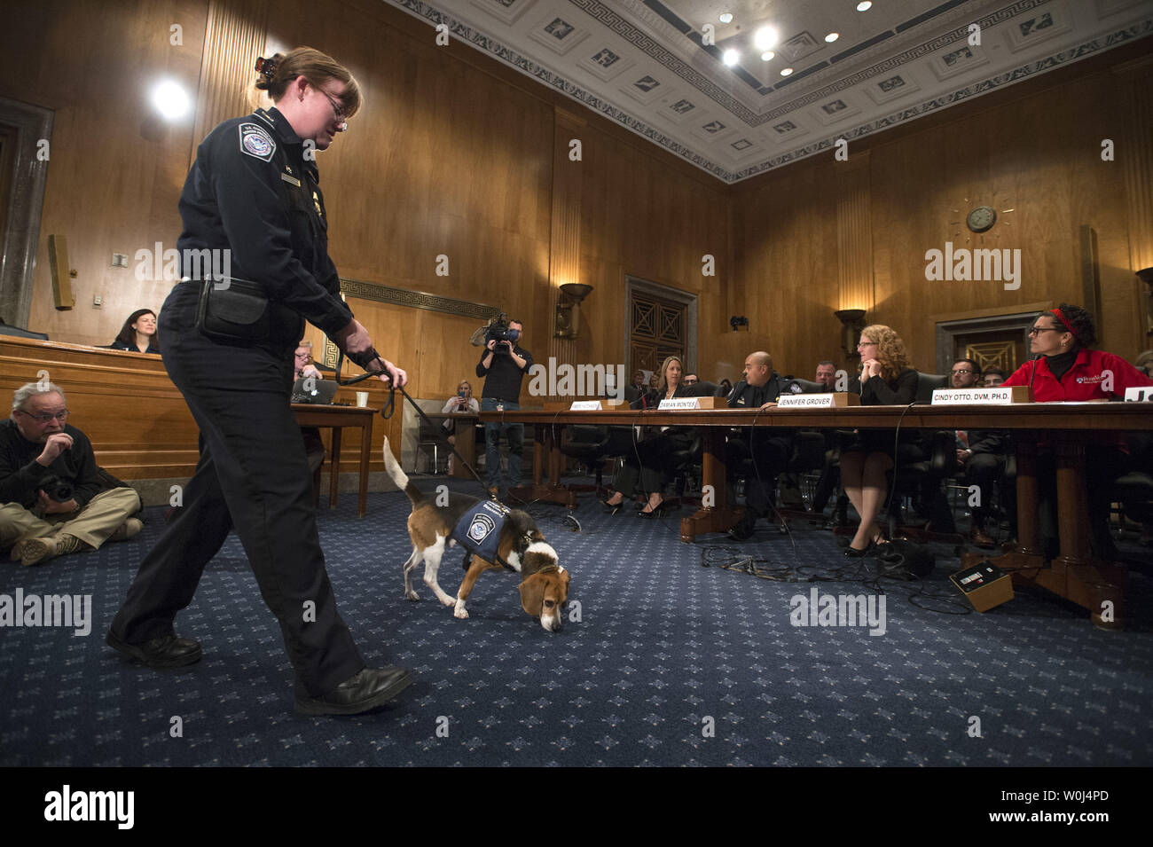 Detection dog washington hi-res stock photography and images - Alamy