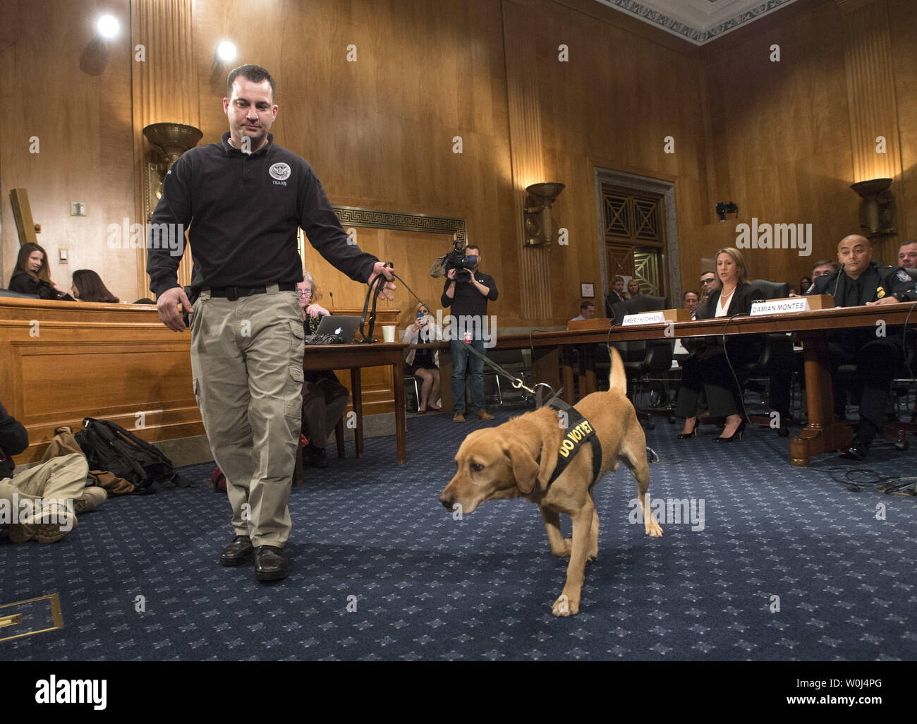 Tsa inspector hi-res stock photography and images - Alamy