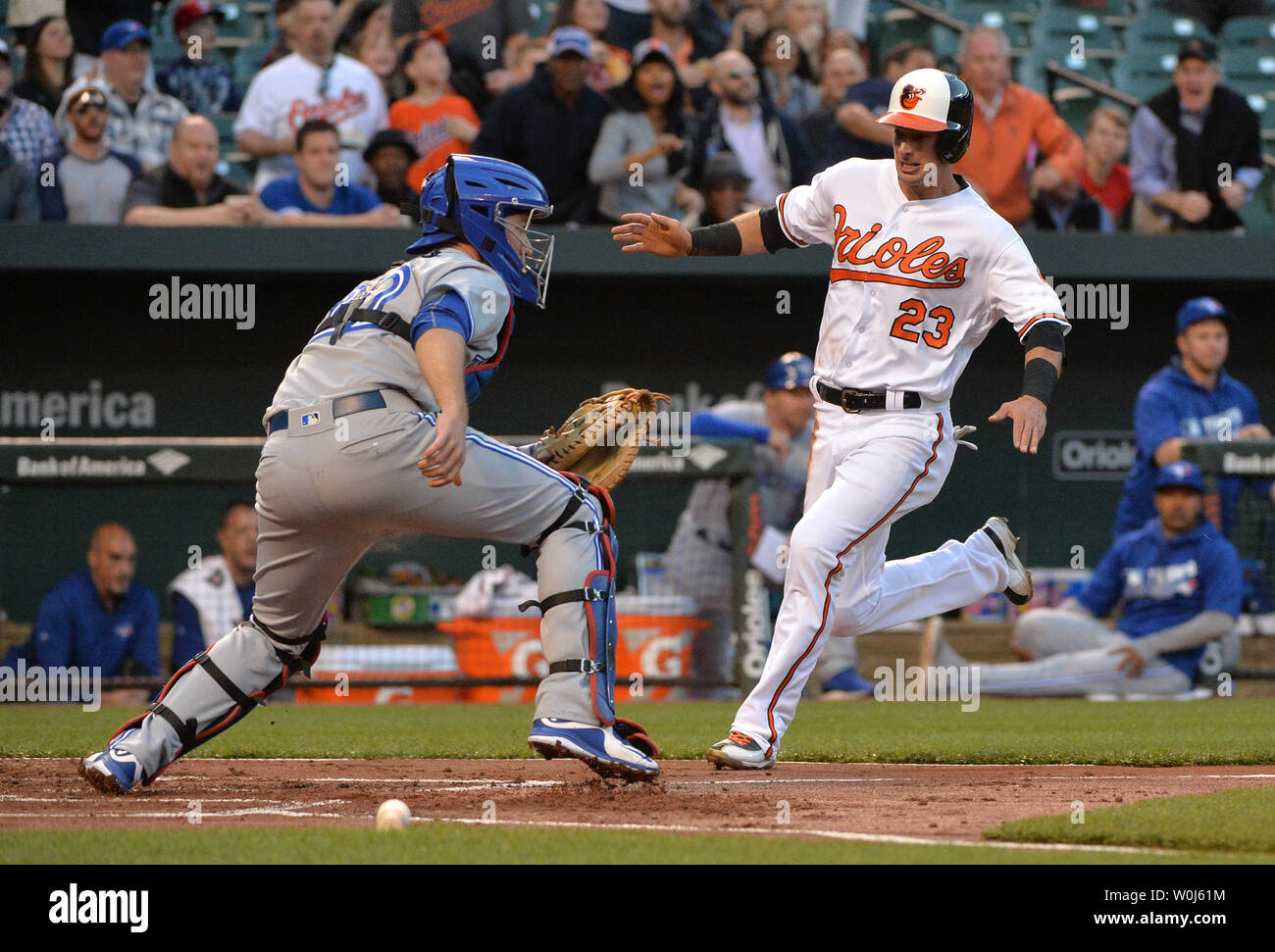 Joey rickard hi-res stock photography and images - Alamy