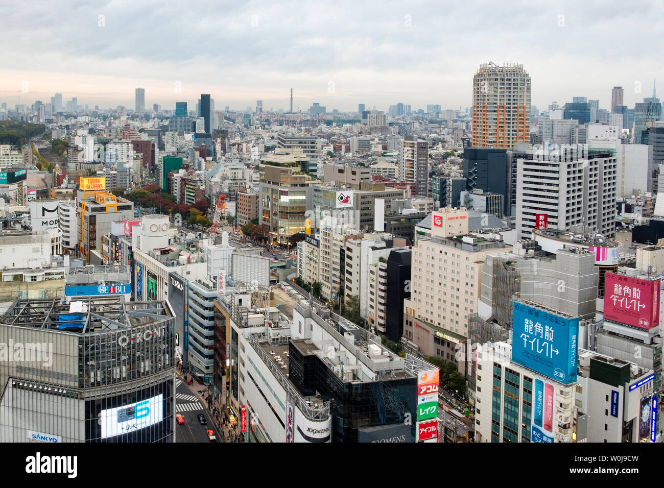 Tokyo, Japan - Nov 08 2017 : Aerial view of skyline in downtown crowded ...