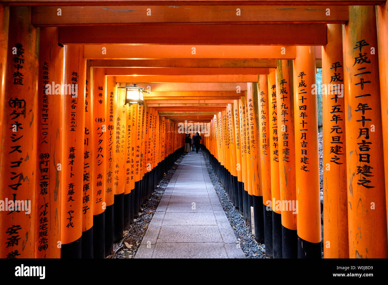 Kyoto, Japan - Nov 11 2017 : Pathway with red ancient wood torii gate ...