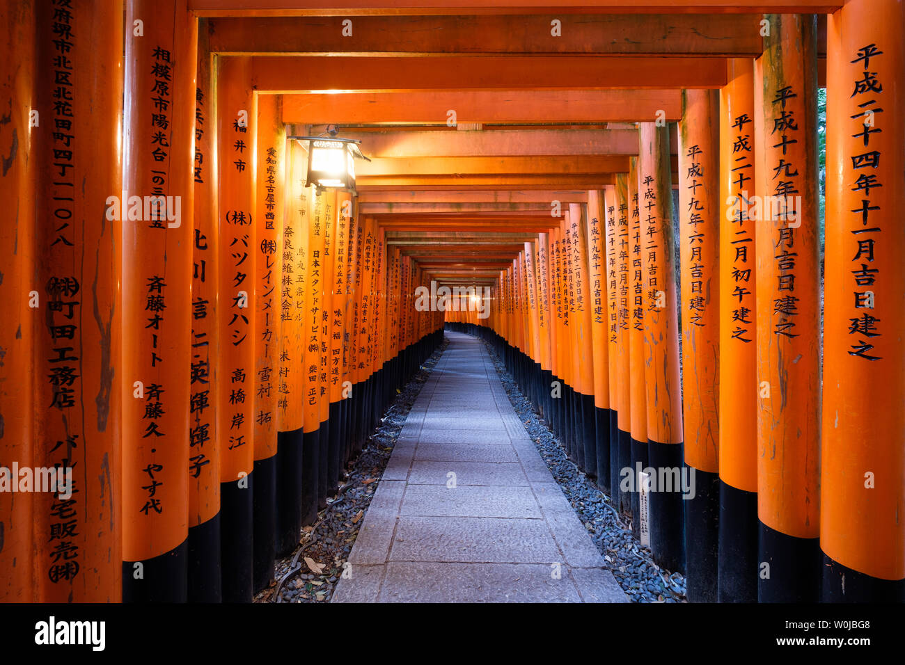 Kyoto, Japan - Nov 11 2017 : Red ancient wood torii gate with japanese ...