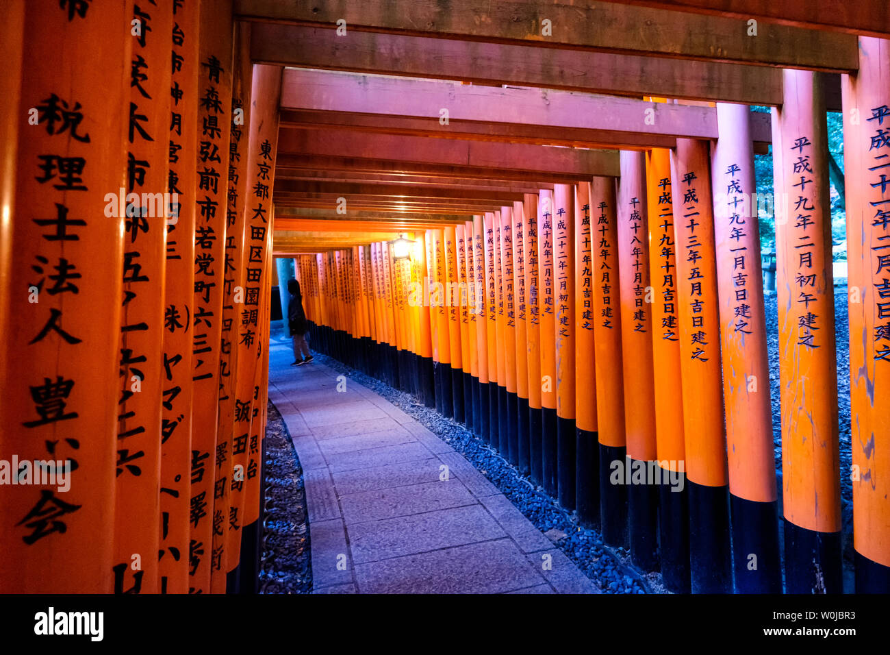Kyoto, Japan - Nov 11 2017 : Pathway with red ancient wood torii gate ...