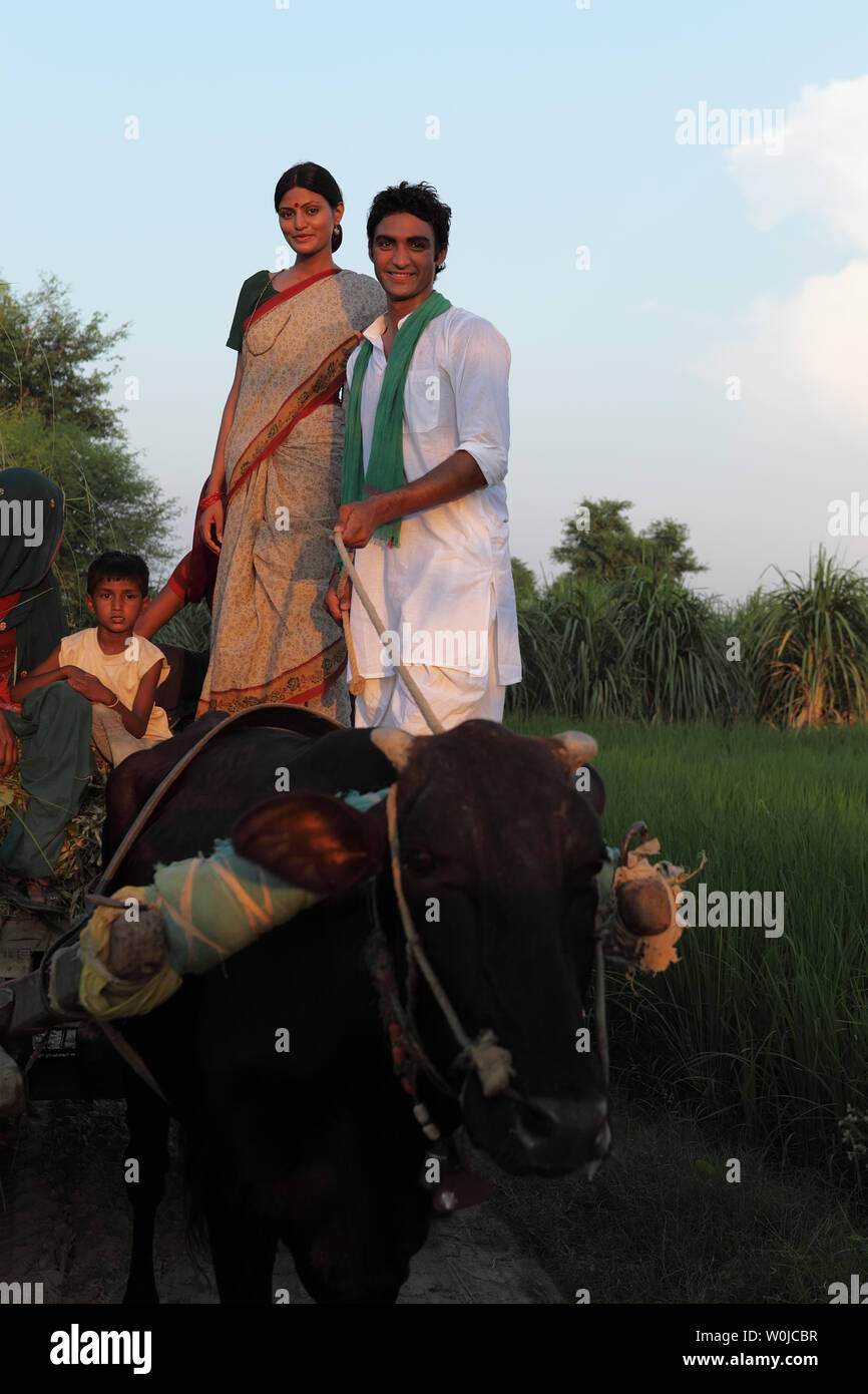 Man riding ox cart hi-res stock photography and images - Alamy