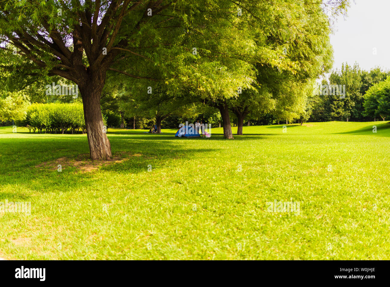 Beijing olympic forest park hi-res stock photography and images - Alamy