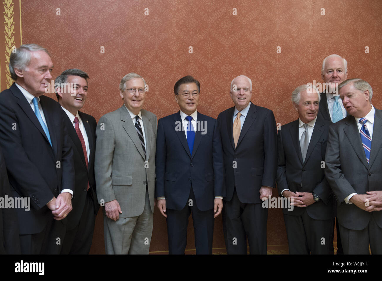 Molly Moon High Resolution Stock Photography and Images - Alamy