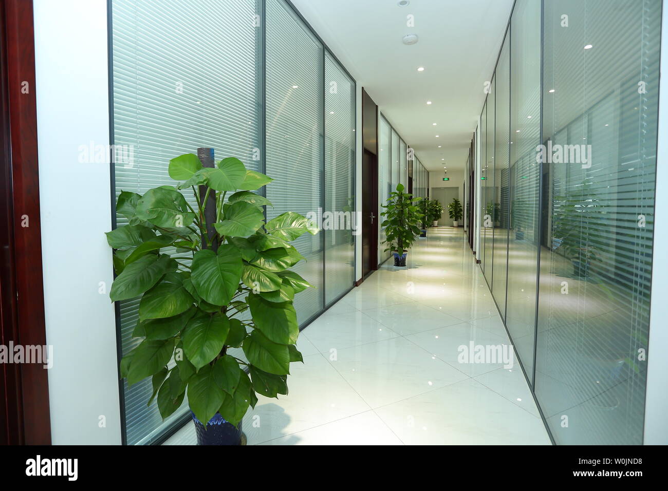 Partition Corridor High Resolution Stock Photography and Images - Alamy