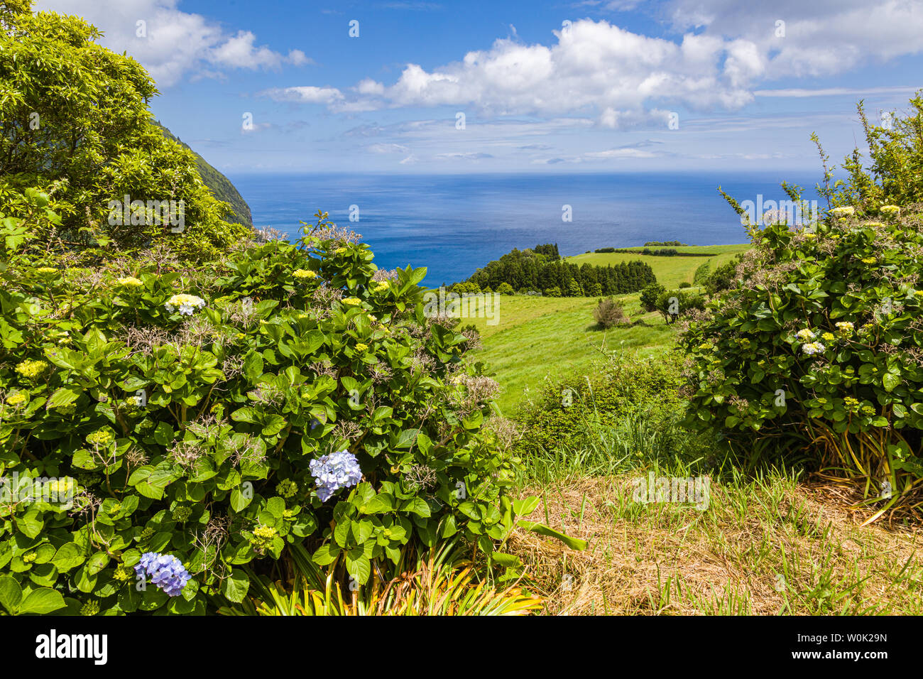 Nature of the south coast of Sao Miguel Island, Azores archipelago ...