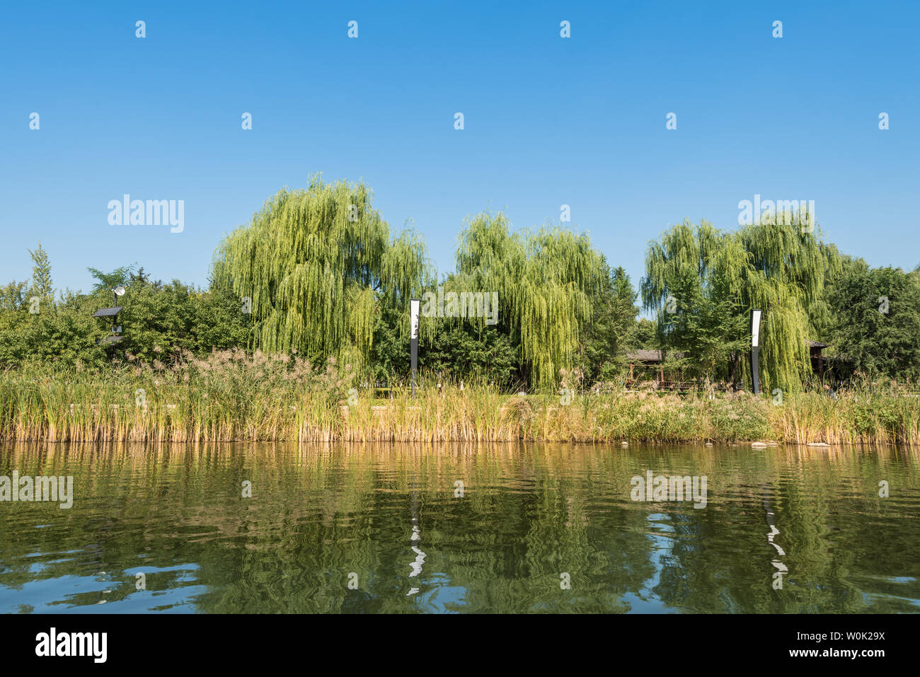 Autumn China Fushun early morning park river bank willow stone bridge ...