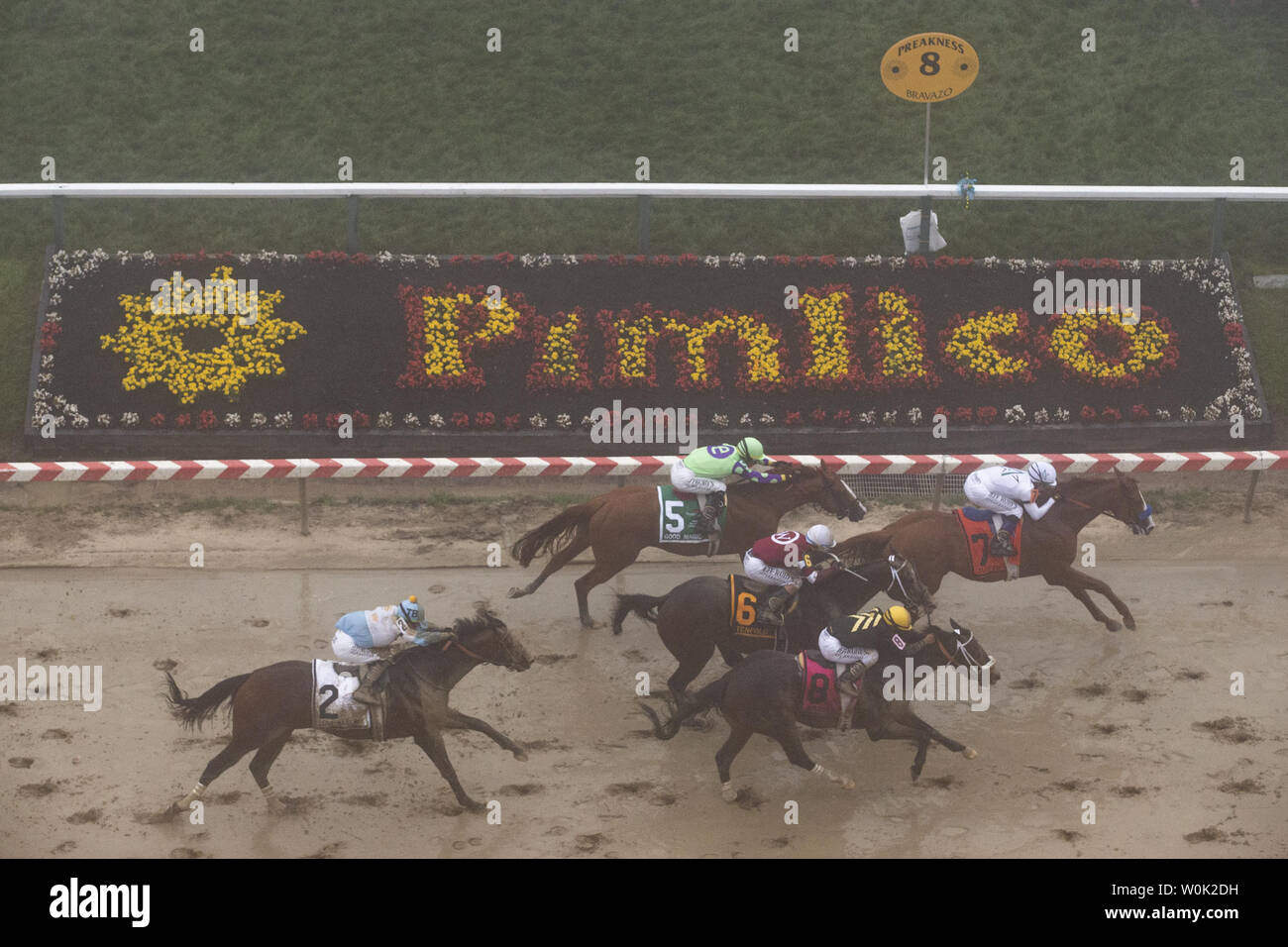 Justify race horse hi-res stock photography and images - Alamy