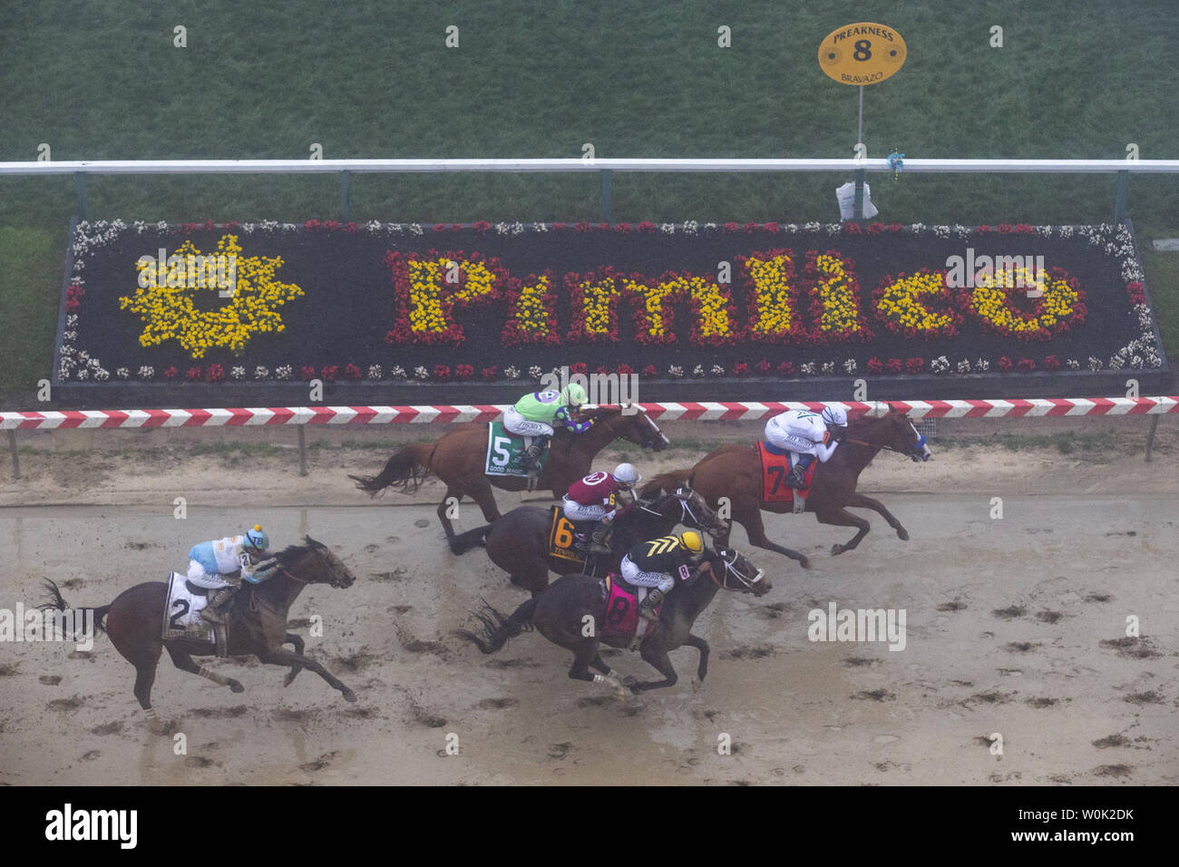 Justify race horse hi-res stock photography and images - Alamy