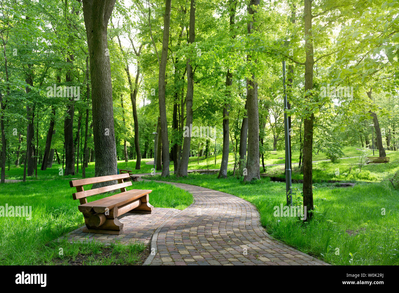 Wooden bench in a beautiful sunny park Stock Photo - Alamy