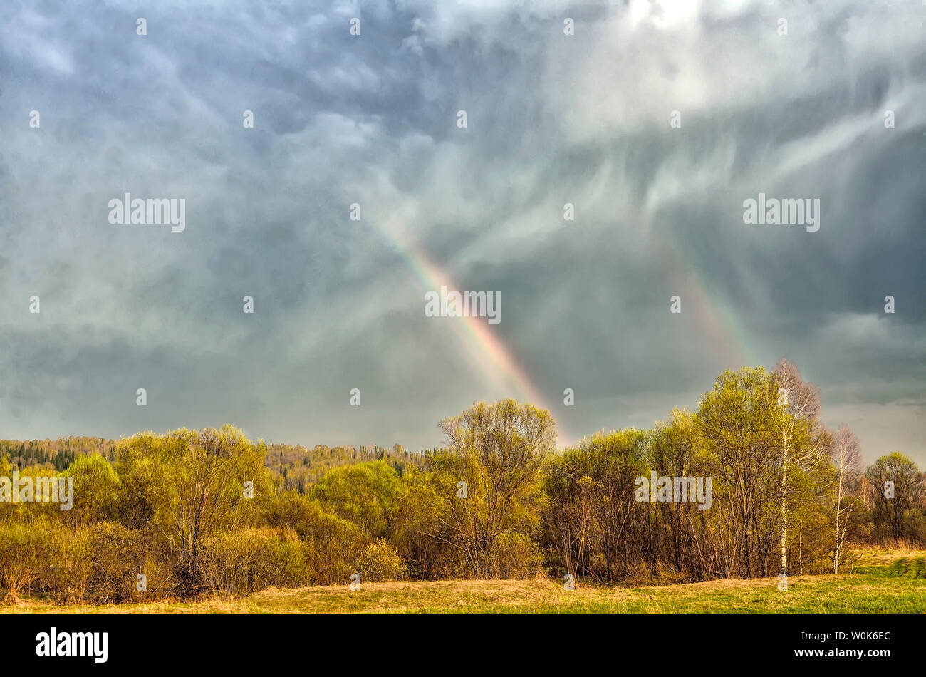 Colorful double Rainbow on cloudy sky over forest after spring rain ...