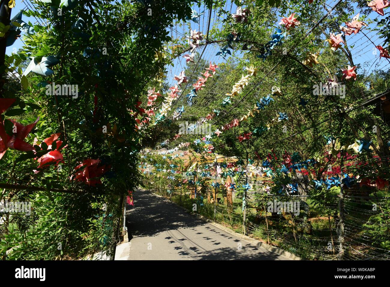 Flower sea entrance Stock Photo - Alamy