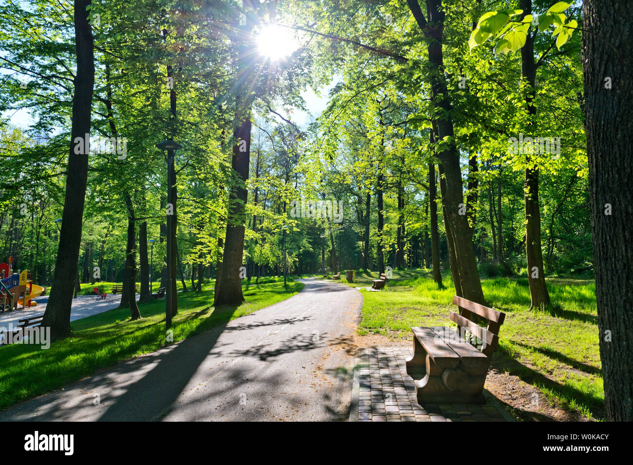 Shady path with benches hi-res stock photography and images - Alamy