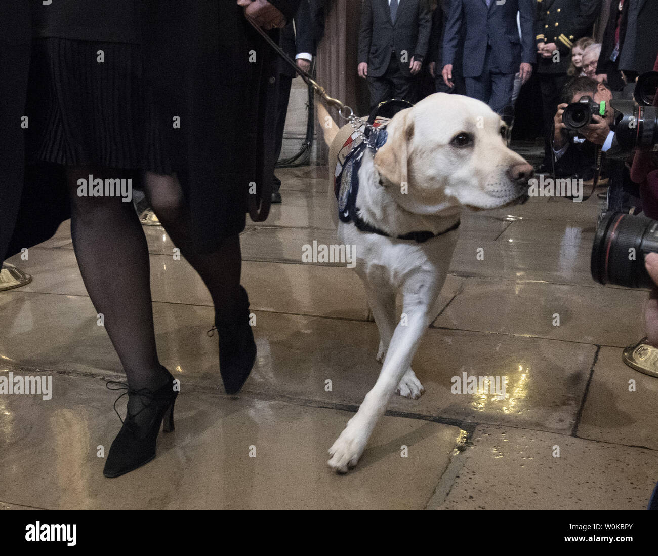 Pat coffin hi-res stock photography and images - Alamy