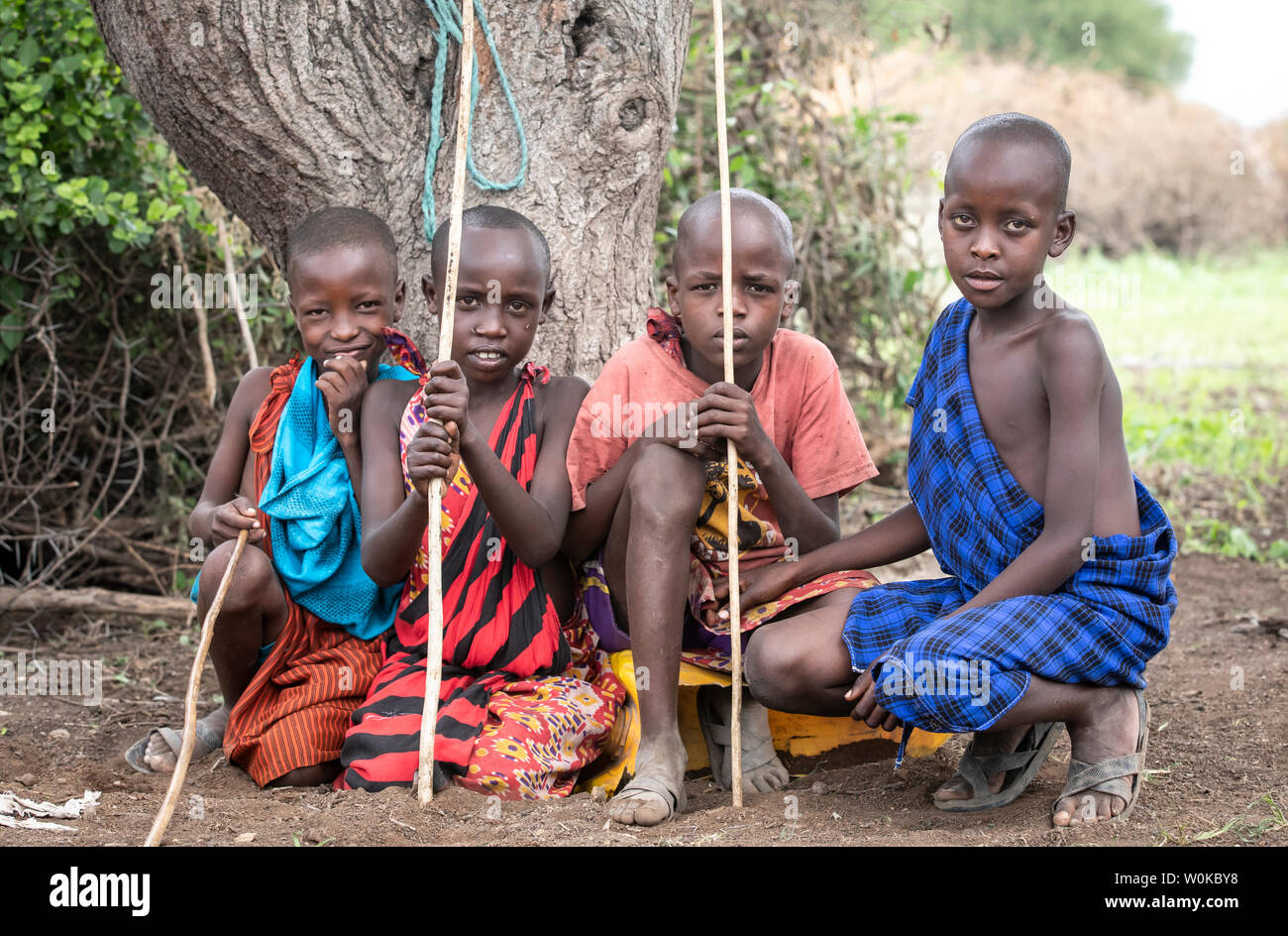 same, Tanzania, 5th June 2019: young maasai boys resting under a tree ...
