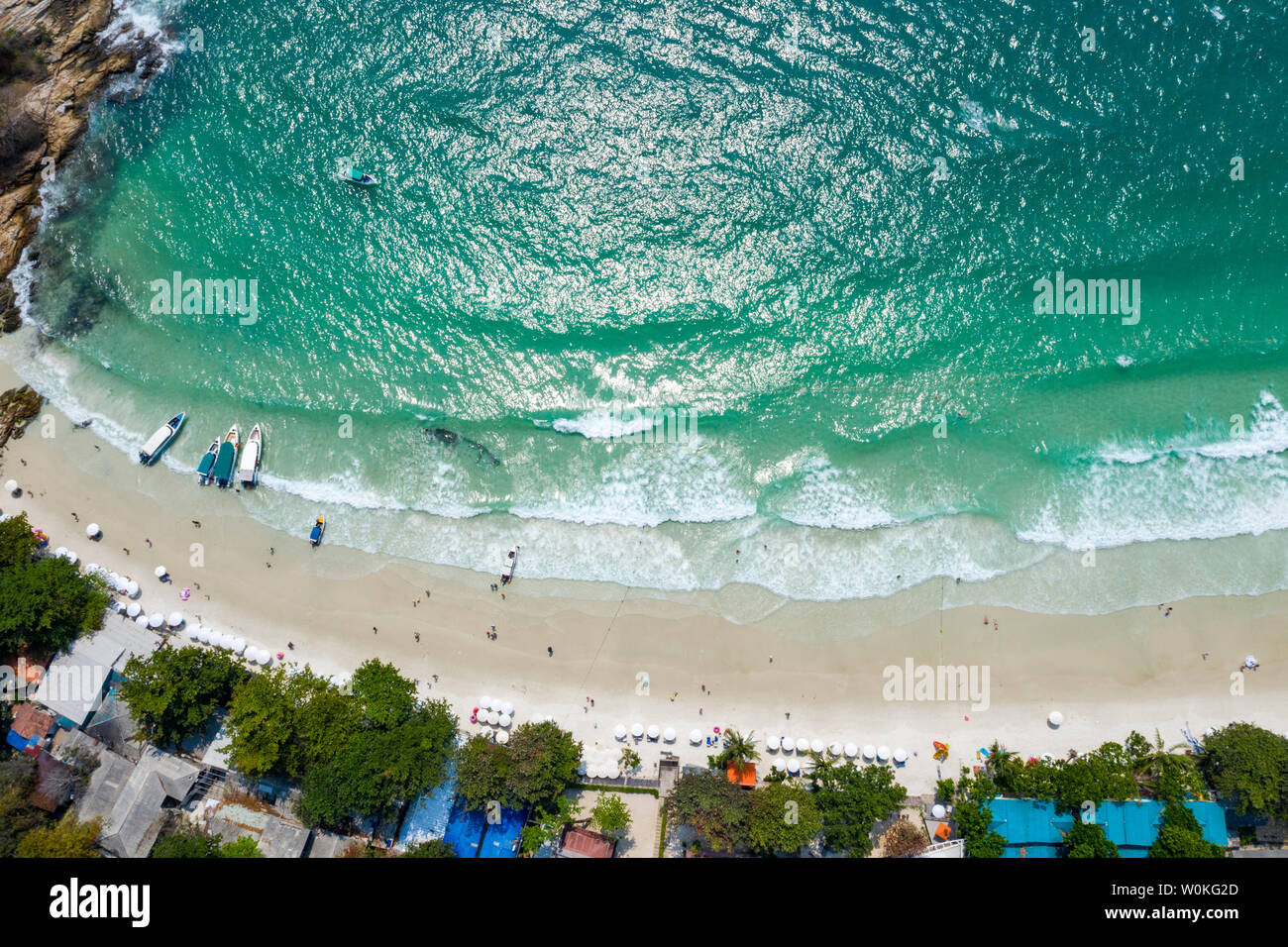 During the Spring Festival from February 10 to 12, 2019, a special trip ...