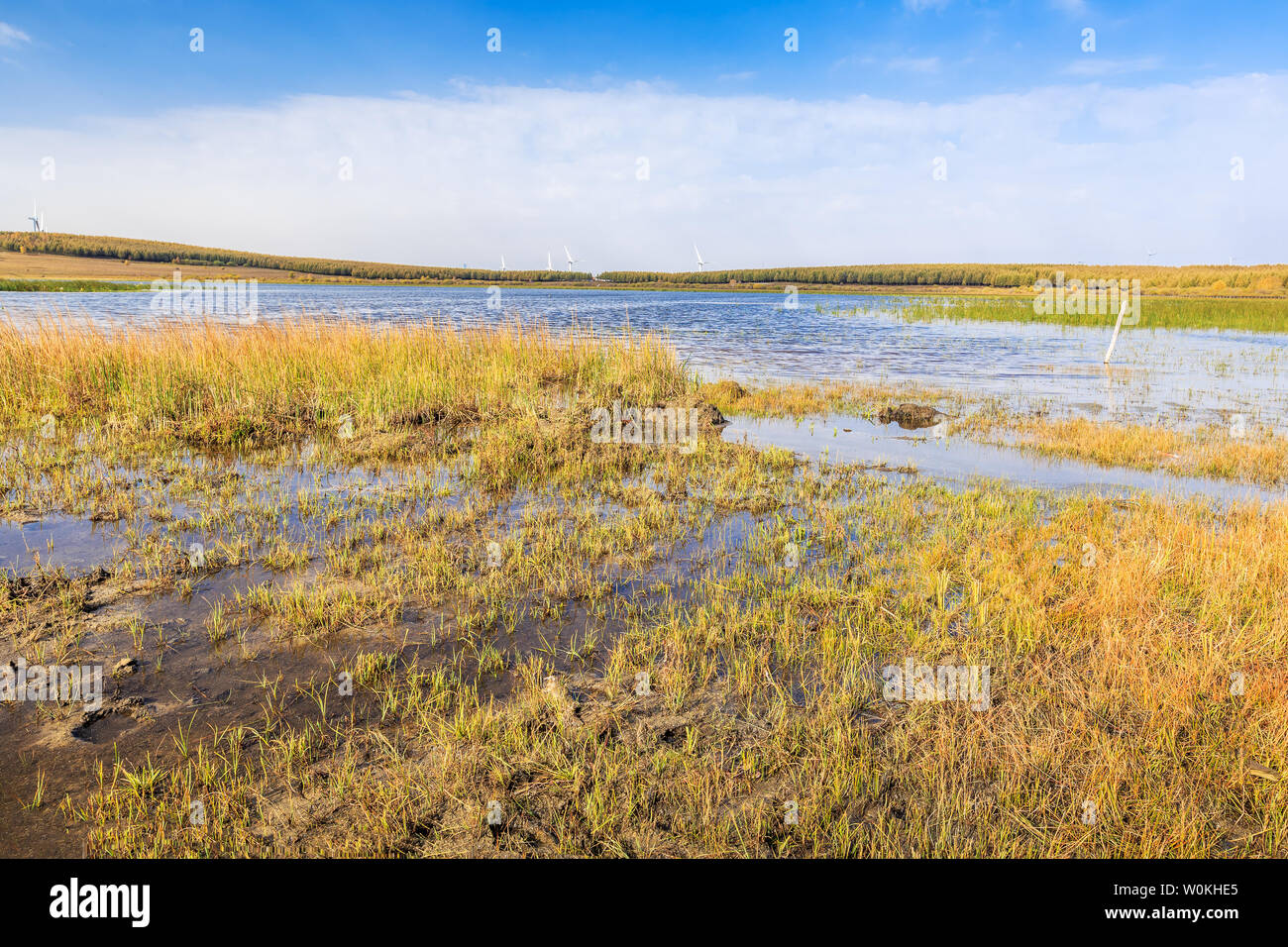 Paddock dam on the moon lake autumn color Stock Photo - Alamy
